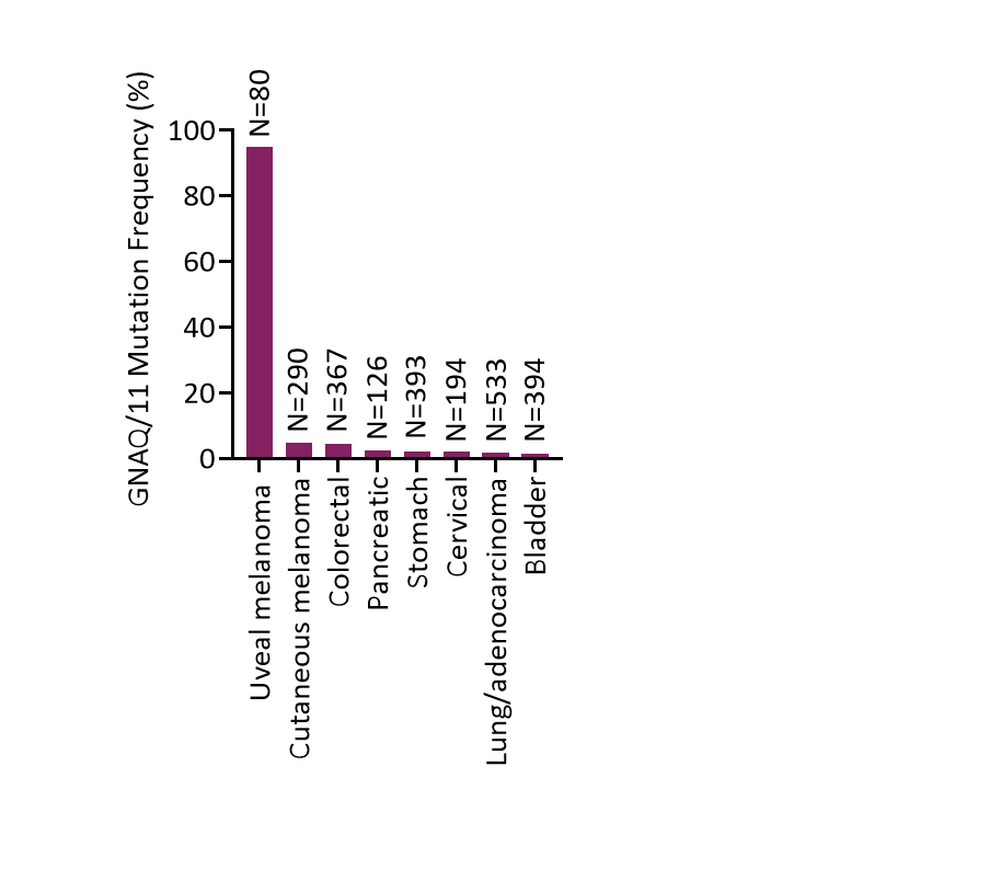 Pipeline – IDEAYA Biosciences