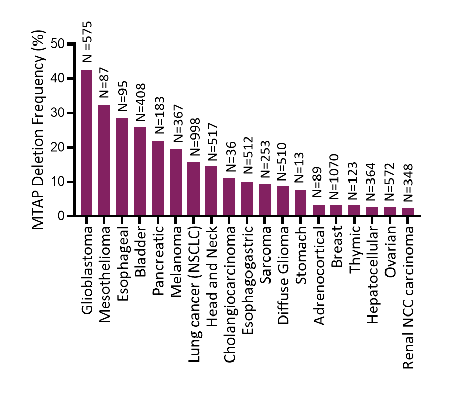 Pipeline – IDEAYA Biosciences